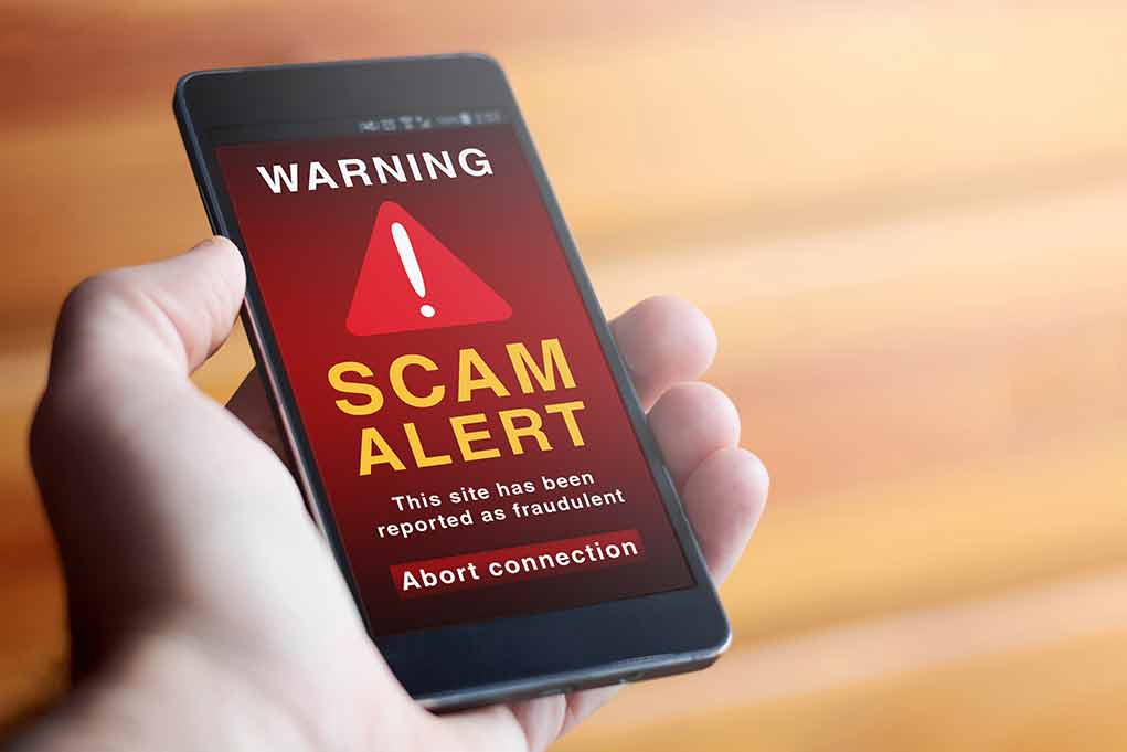 SCAM ALERT: What SNAP Recipients Need to Know | Daily Dig
